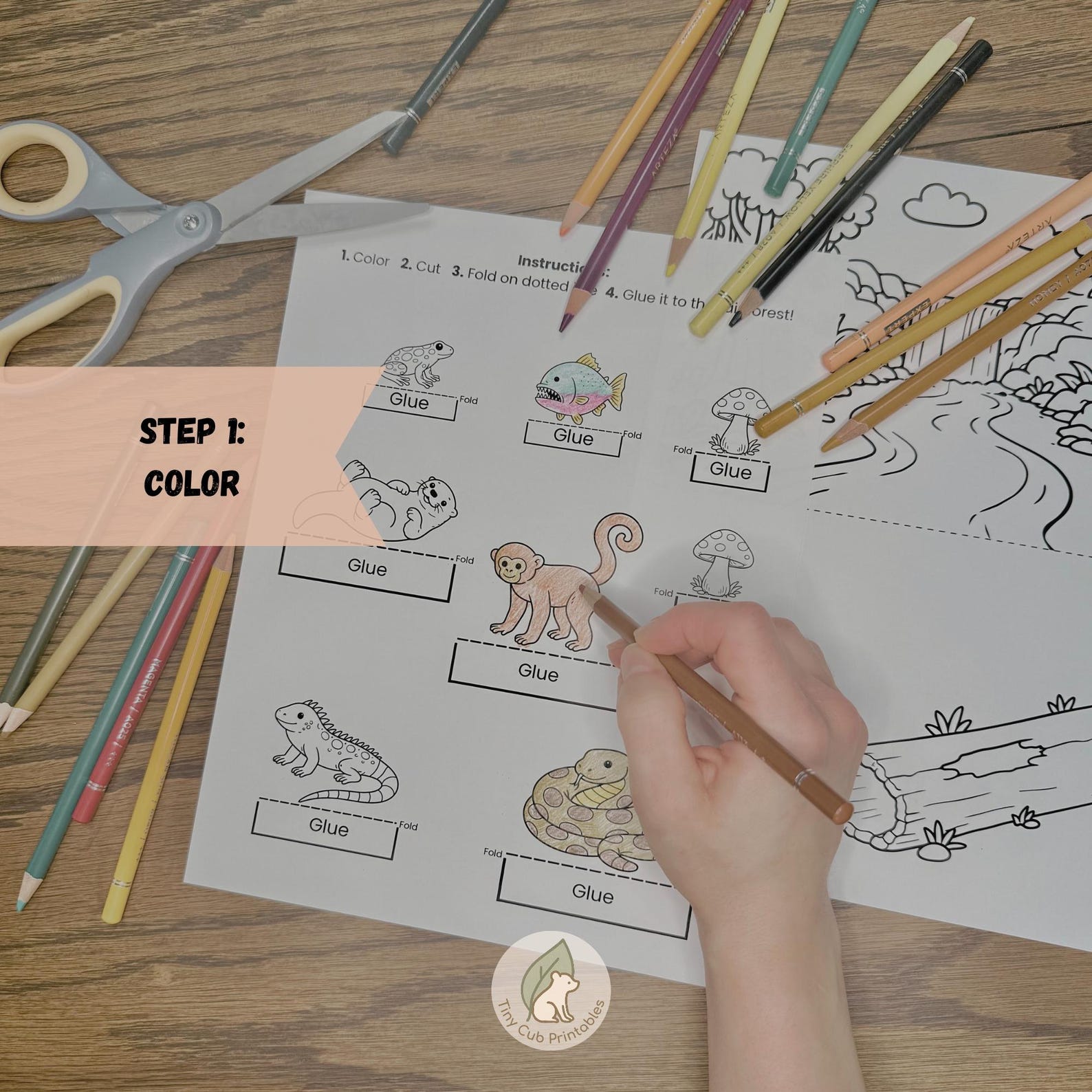 Rainforest Animals Cut and Paste Craft for Kids | Amazon Rainforest ...