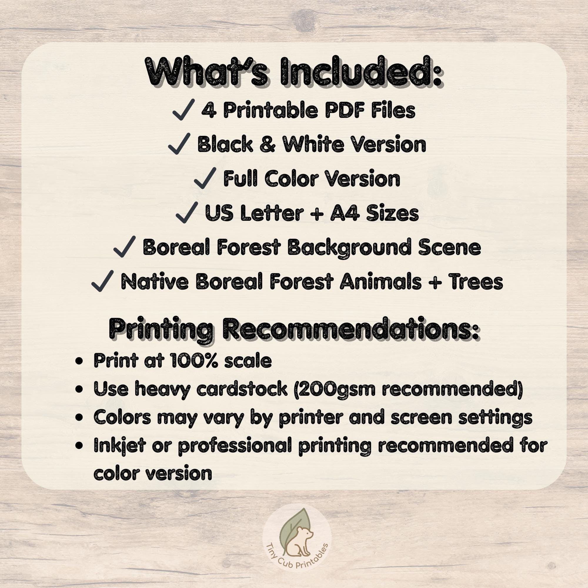 Cut and Paste Boreal Forest Craft | Taiga Biome Diorama | Forest ...