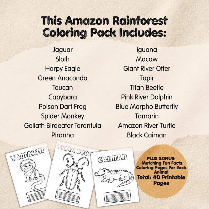 Amazon Rainforest Animals Coloring Pages for Kids | 40 Printable ...