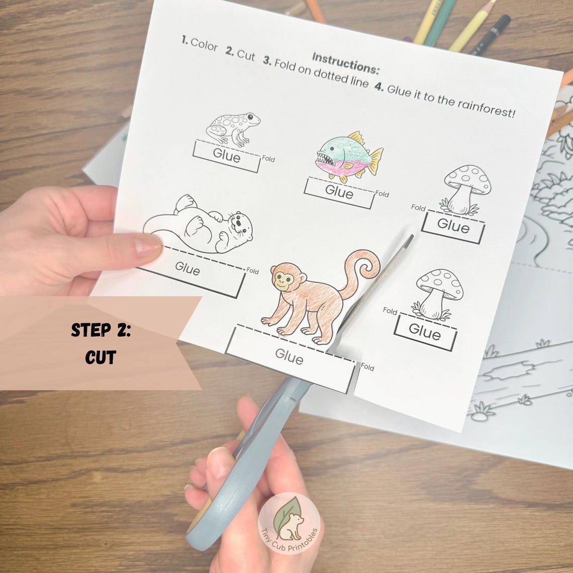 Rainforest Animals Cut and Paste Craft for Kids | Amazon Rainforest ...
