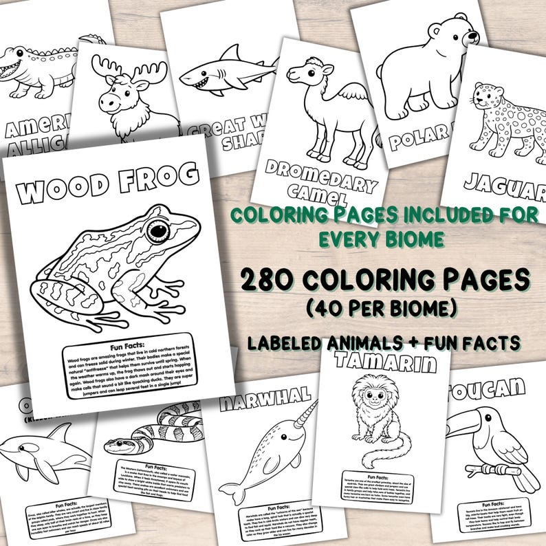 Biome Diorama Craft Bundle | Biomes Pop up Crafts | Animal Coloring ...