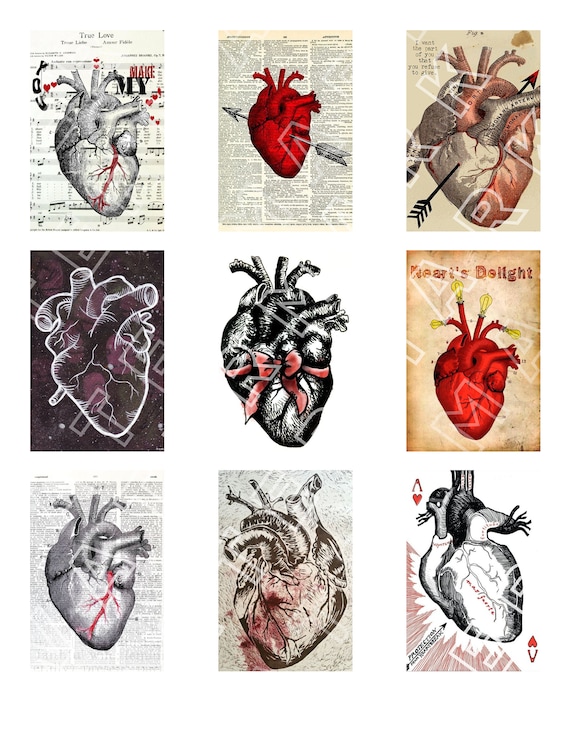 Realistic Heart Drawings Tumblr