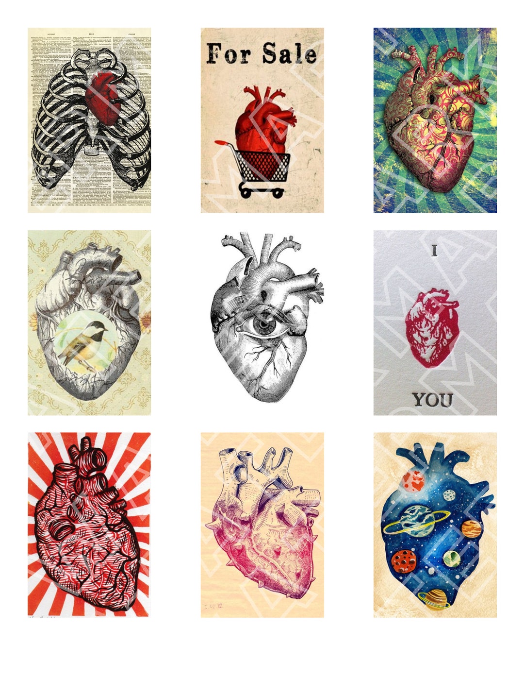 VALENTINE HEARTS Anatomy Anatomical Drawings Anatomical Hearts Digital ...