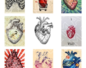 VALENTINES DAY HEARTS Anatomy Anatomical Drawings Anatomical Hearts ...