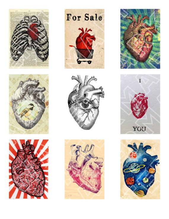 VALENTINE HEARTS Anatomy Anatomical Drawings Anatomical Hearts | Etsy
