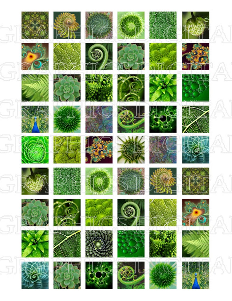 GREEN COLORS Green PATTERNS Digital Graphics Download Digital Collage ...