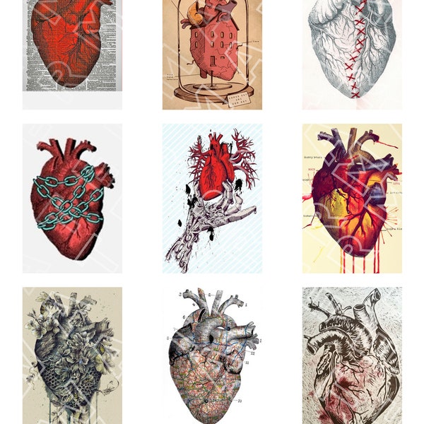 Digital Paper Anatomy Drawings - Etsy