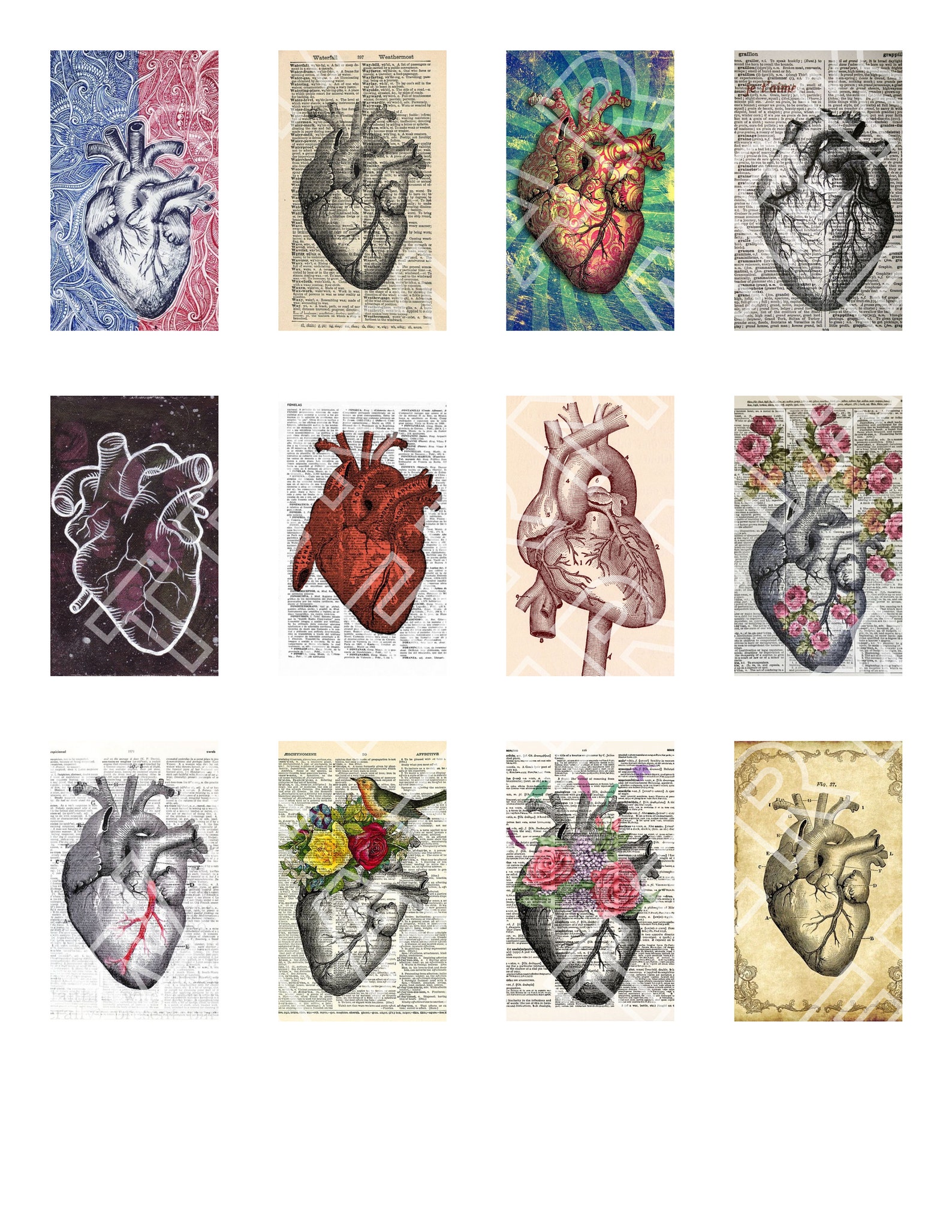 Valentine Day HEARTS Anatomy Anatomical Drawings Anatomical Hearts ...