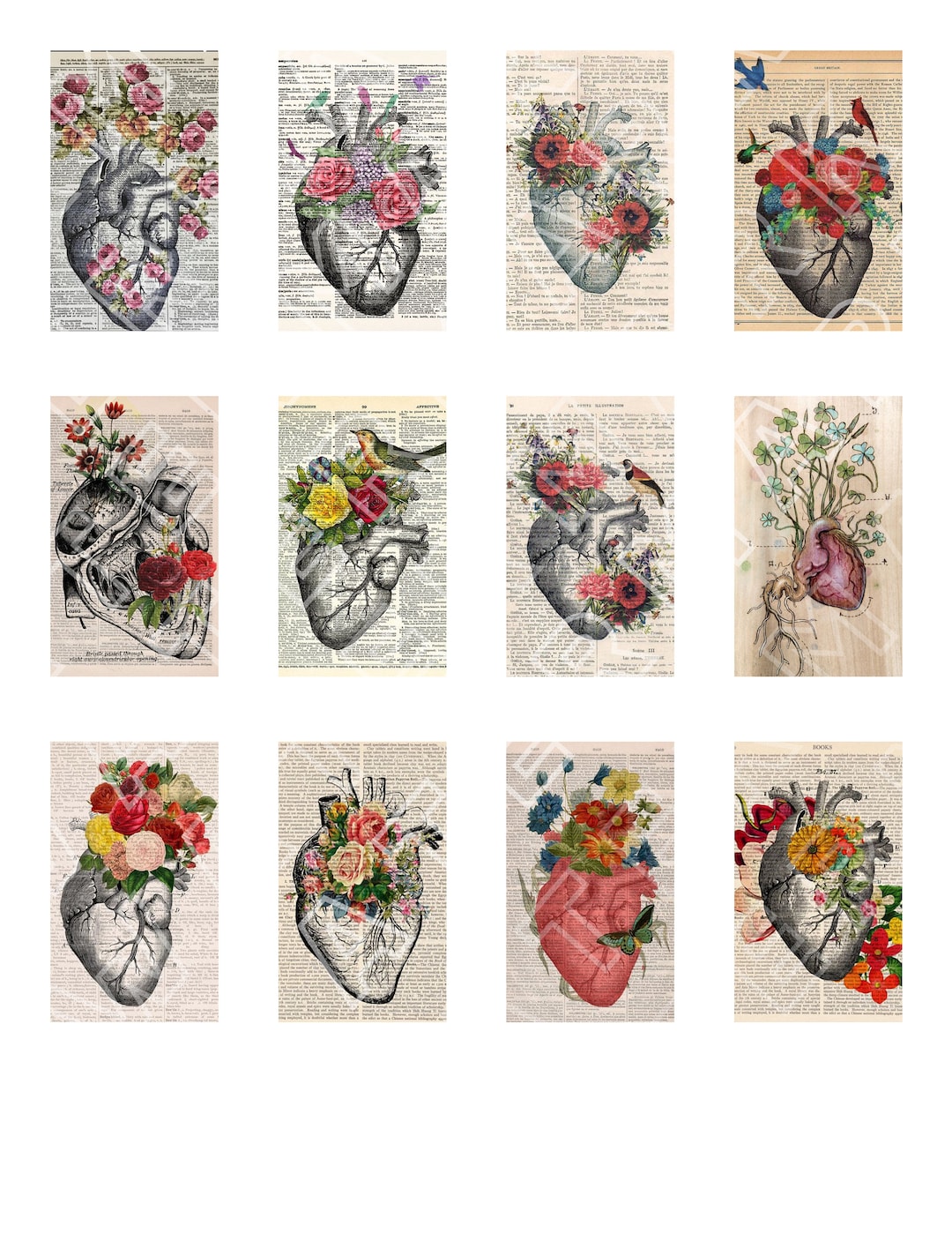 Valentines Day HEARTS FLORAL FLOWERS Birds Anatomy Anatomical Drawings ...