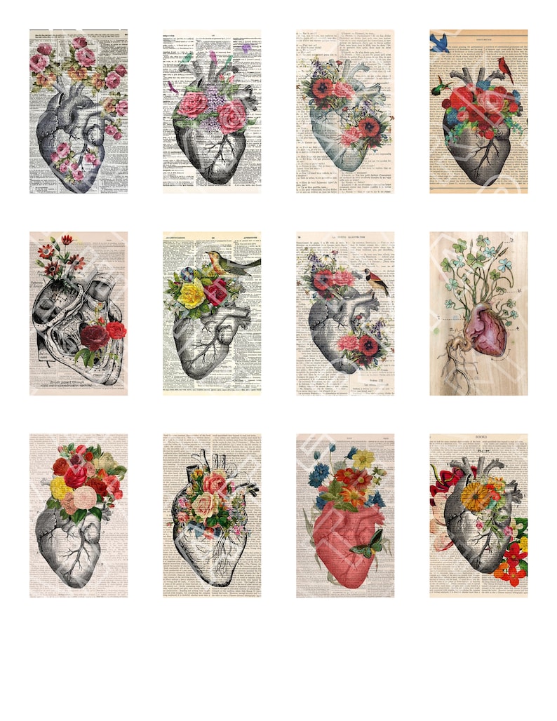 Valentines Day HEARTS FLORAL FLOWERS Birds Anatomy Anatomical Drawings ...