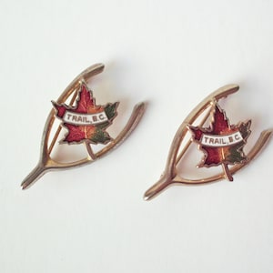 Two Vintage Canada Trail BC Wishbone Maple Leaf Pins, Canadian Pins ...