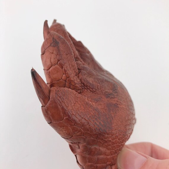 Vintage Crocodile Claw Foot Keychain, Croc Key Fob, C… - Gem