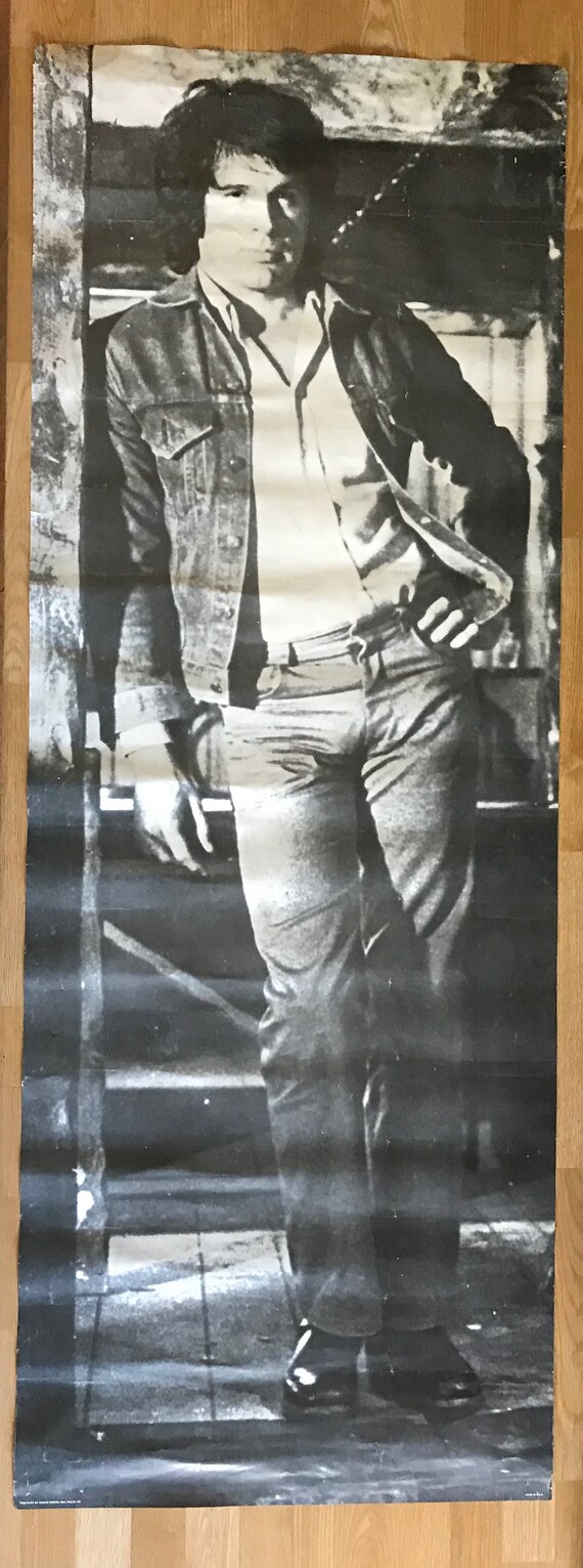 Warren Beatty Shampoo Poster