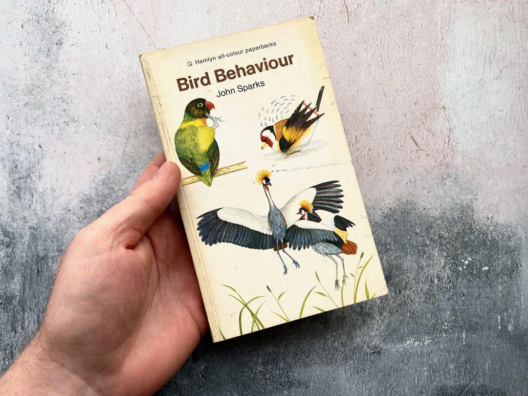 Vintage Bird Behaviour by John Sparks 1977 Edition - Etsy