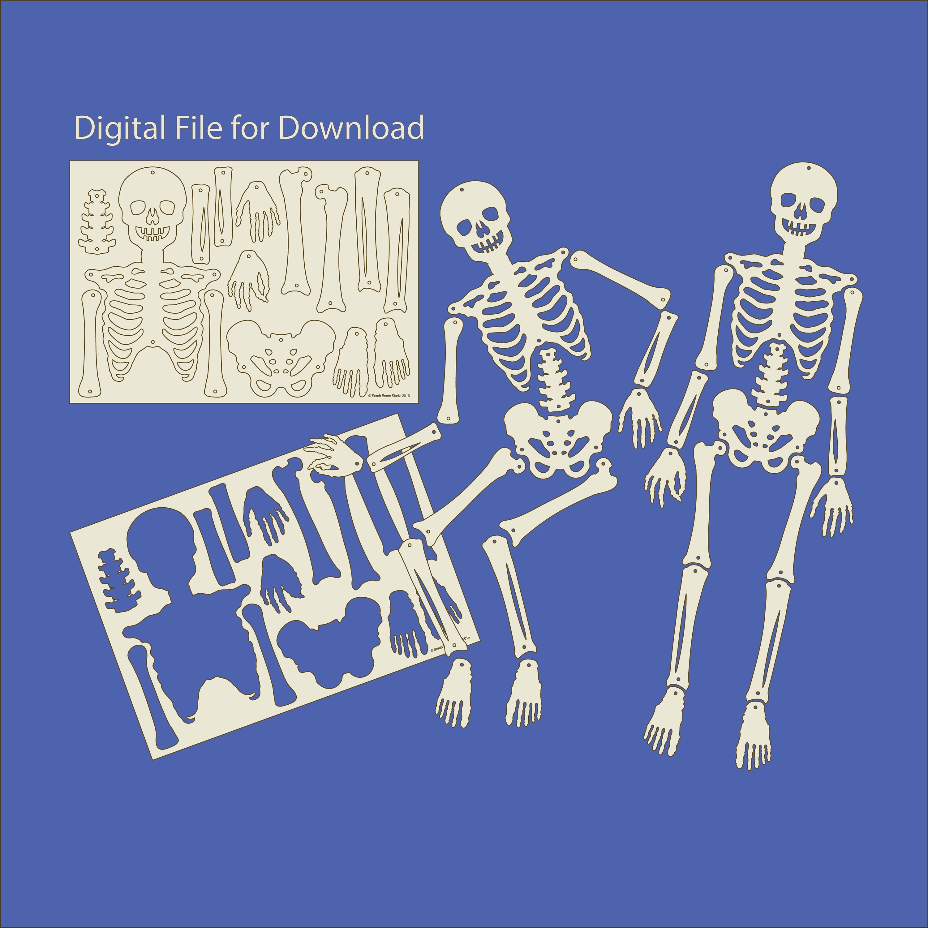 Bone Joint Cut Files - Etsy