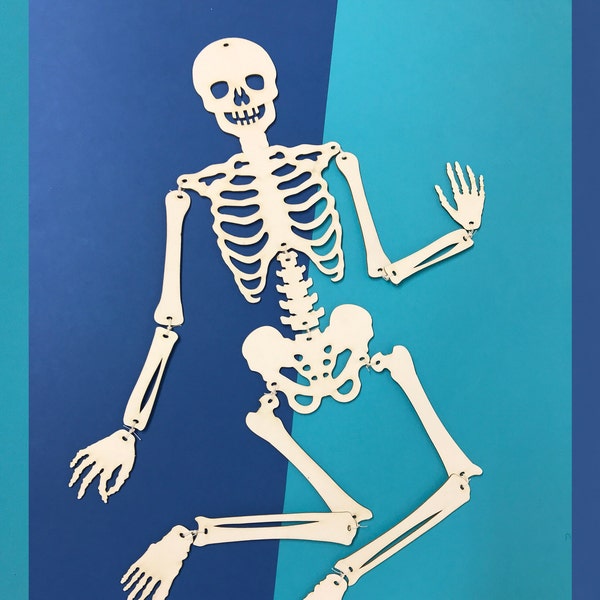 Halloween Skeleton - Etsy