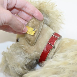 Vintage 1950s Largest 17" Steiff Snobby Grey Poodle Dog Mohair Soft Toy ...