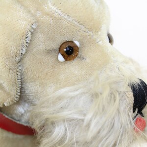 Vintage 1950s Largest 17" Steiff Snobby Grey Poodle Dog Mohair Soft Toy ...