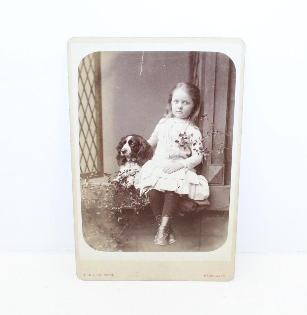 Antique Victorian Spaniel Dog With Girl Child Portrait Cabinet Card ...