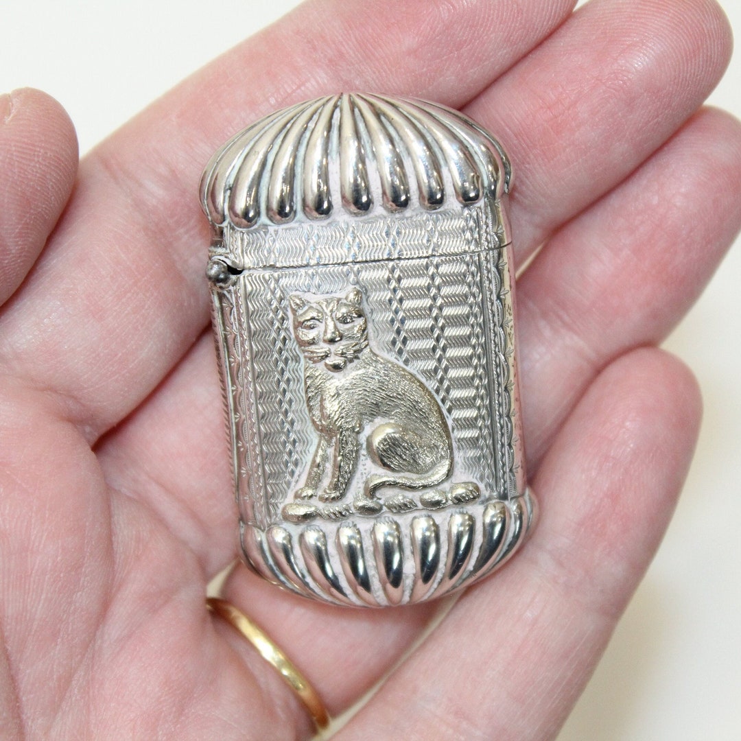 Antique Victorian Sterling Silver Cat Vesta Case Match Safe Birmingham ...