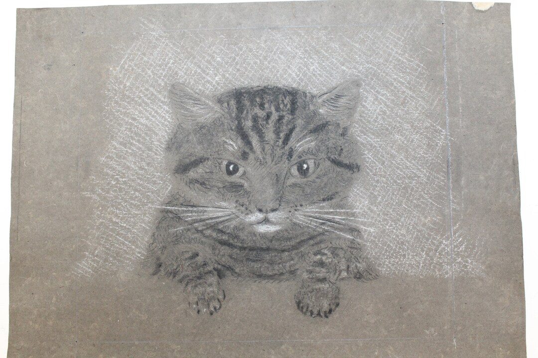 Antique Victorian Tabby Cat Drawing Charcoal and Chalk Folk Art Pet ...