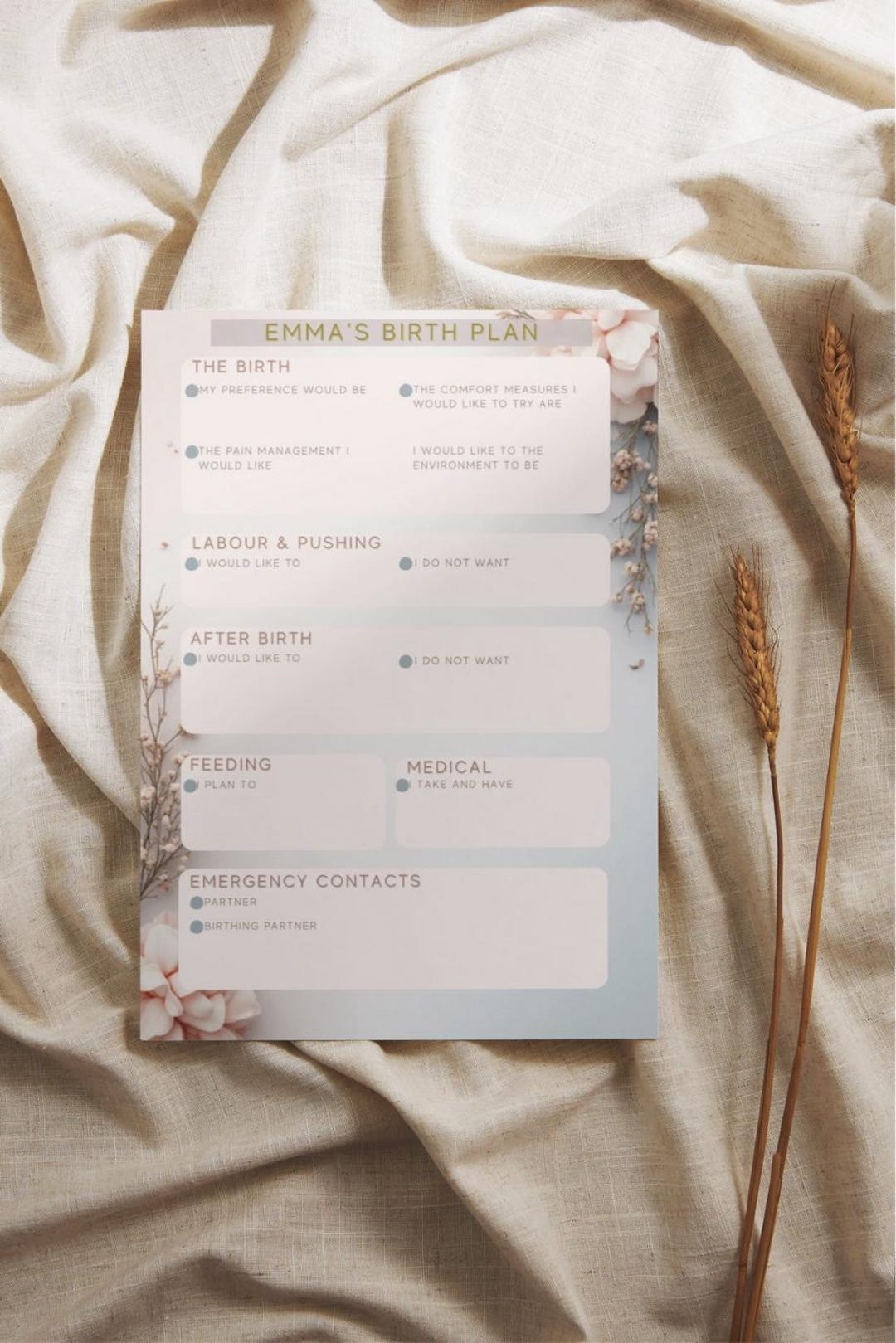 Editable Birth Plan Template | Birthing Plan Printable | Custom Birth ...