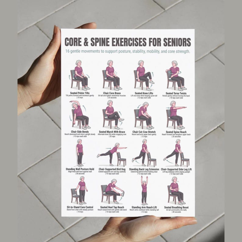 Core & Spine Exercises for Seniors Printable PDF — 16 Gentle Core ...