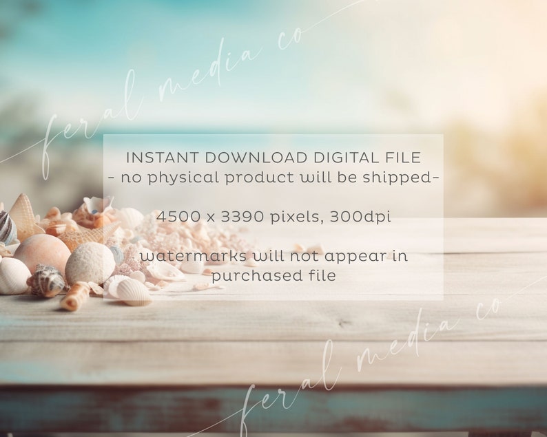Beach Background Product Mockup, Wood Table Seashells Ocean Beachy ...