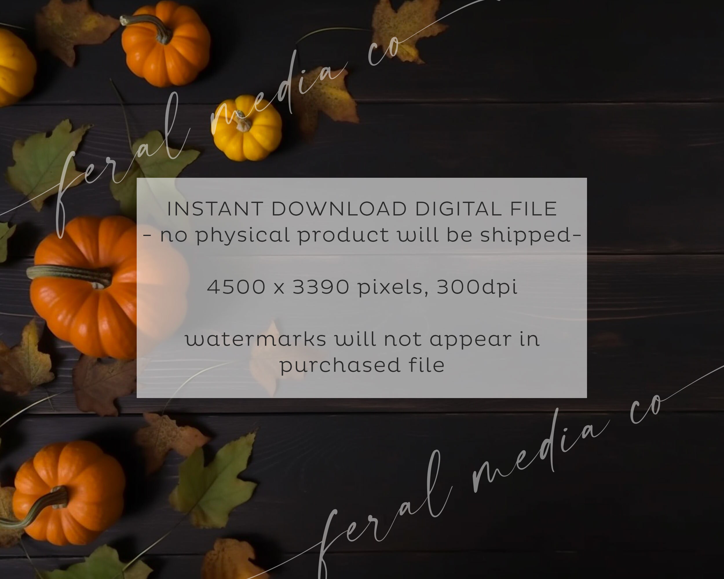 Fall Flat Lay Background Product Mockup, Dark Wood Halloween Mockup ...