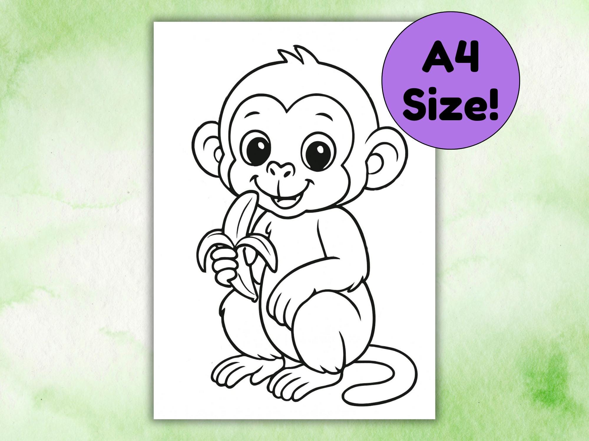 20 Rainforest Discovery Colouring Pages | Jungle Animals Colouring ...