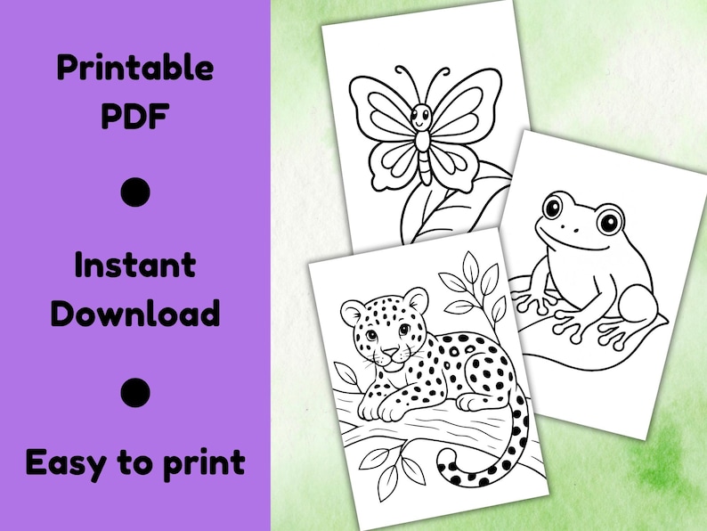 20 Rainforest Discovery Colouring Pages | Jungle Animals Colouring ...