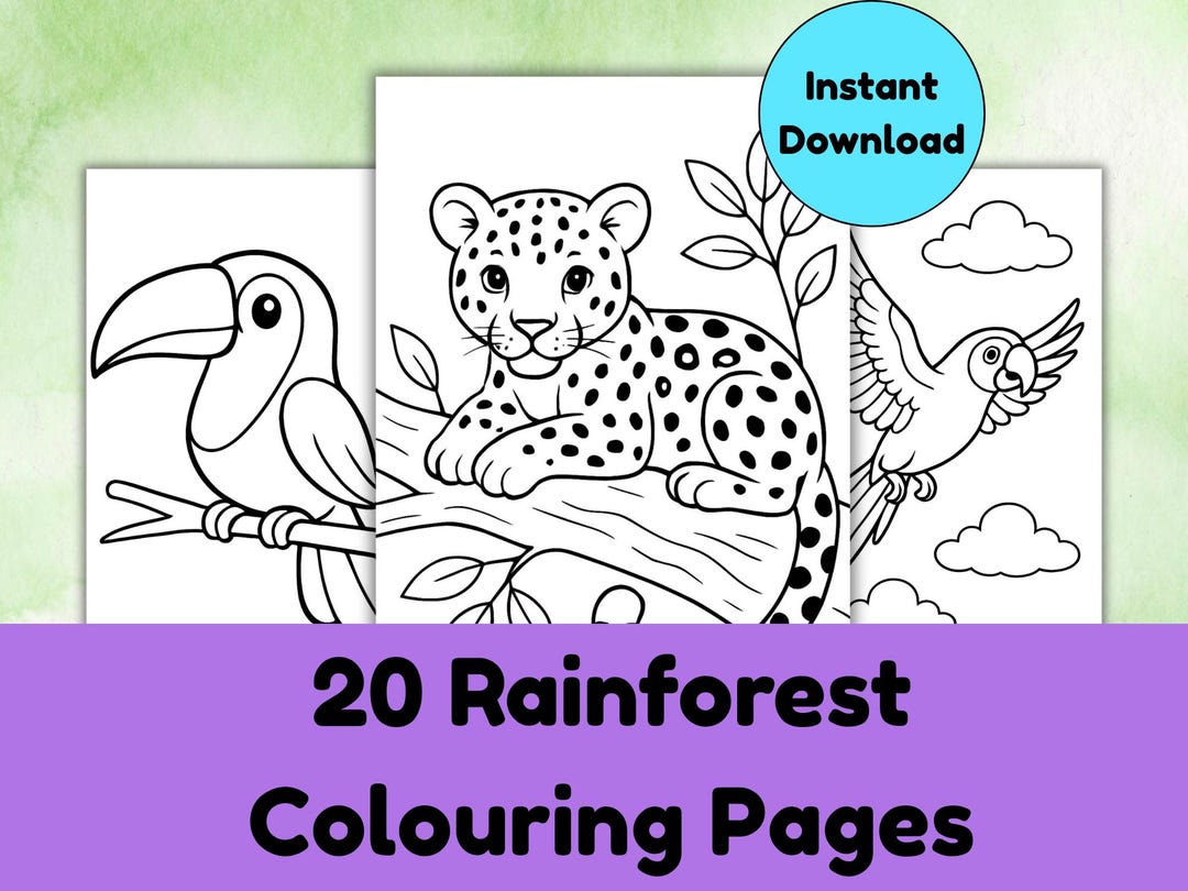 20 Rainforest Discovery Colouring Pages | Jungle Animals Colouring ...