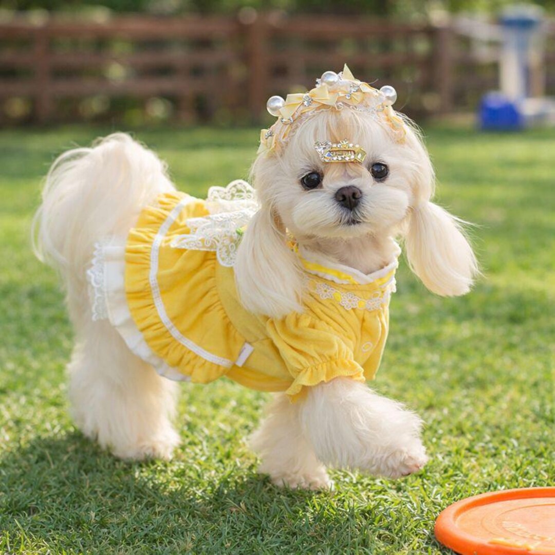 Yellow Thick Pet Dresses,dog Birthday Outfits,pet Princess Dresses ...