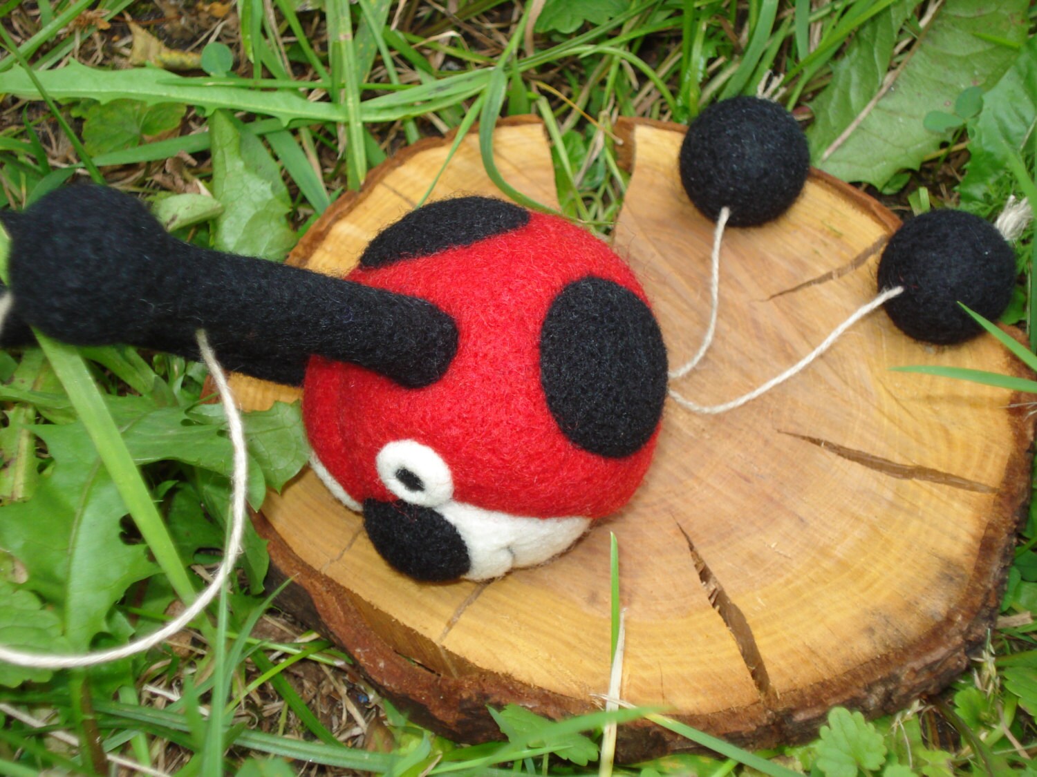 Funny Ladybug Wool Felted Ball Ecofriendly Natural Safe | Etsy