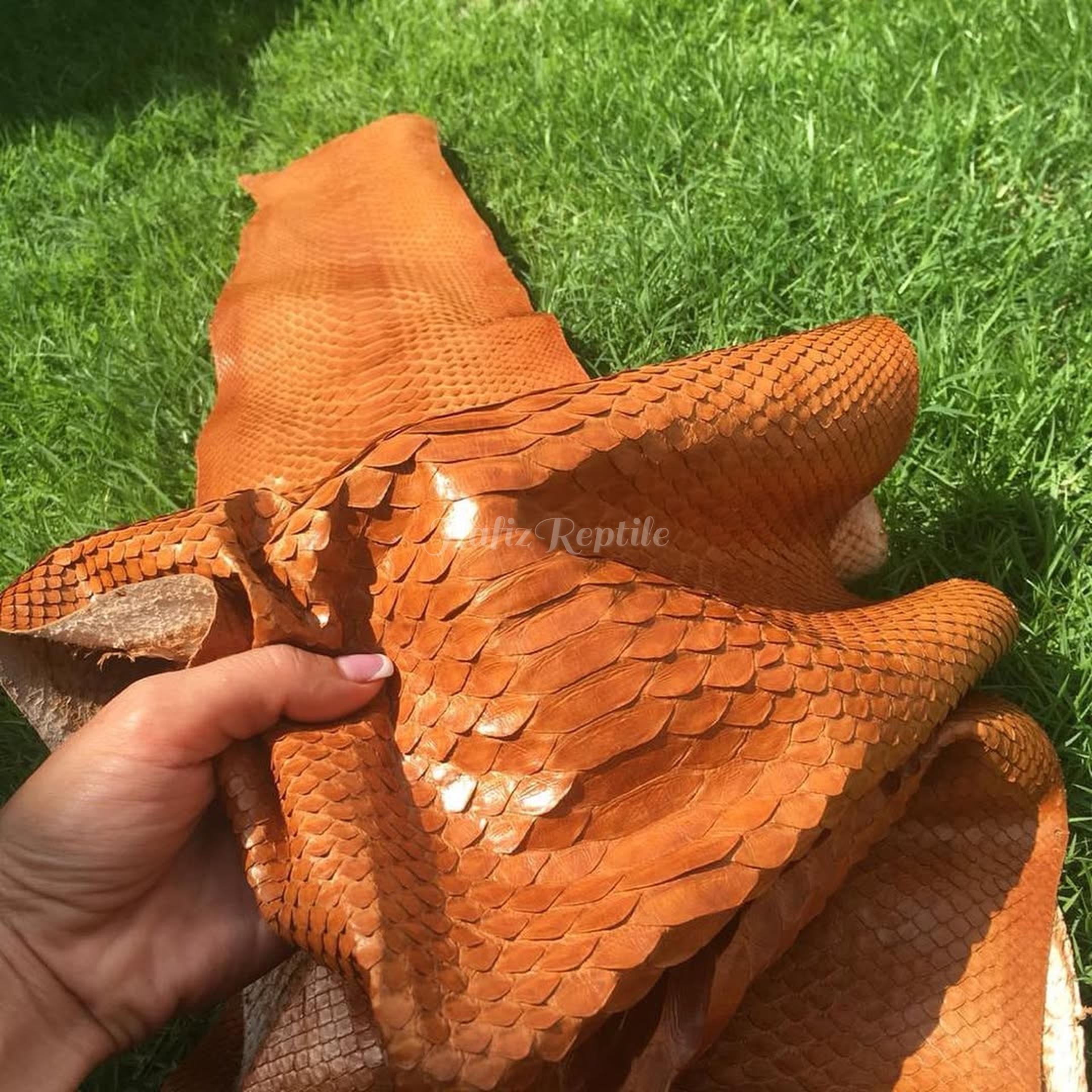 Genuine Python Leather Skin | Brunt Orange Reticulated Belly Skin ...