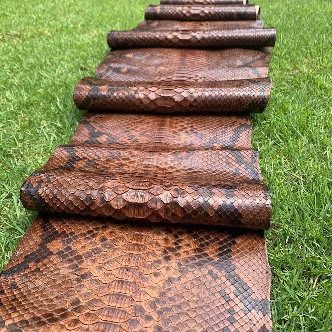 Genuine Python Leather Skin | Brown Reticulated Belly Skin Unbleached ...