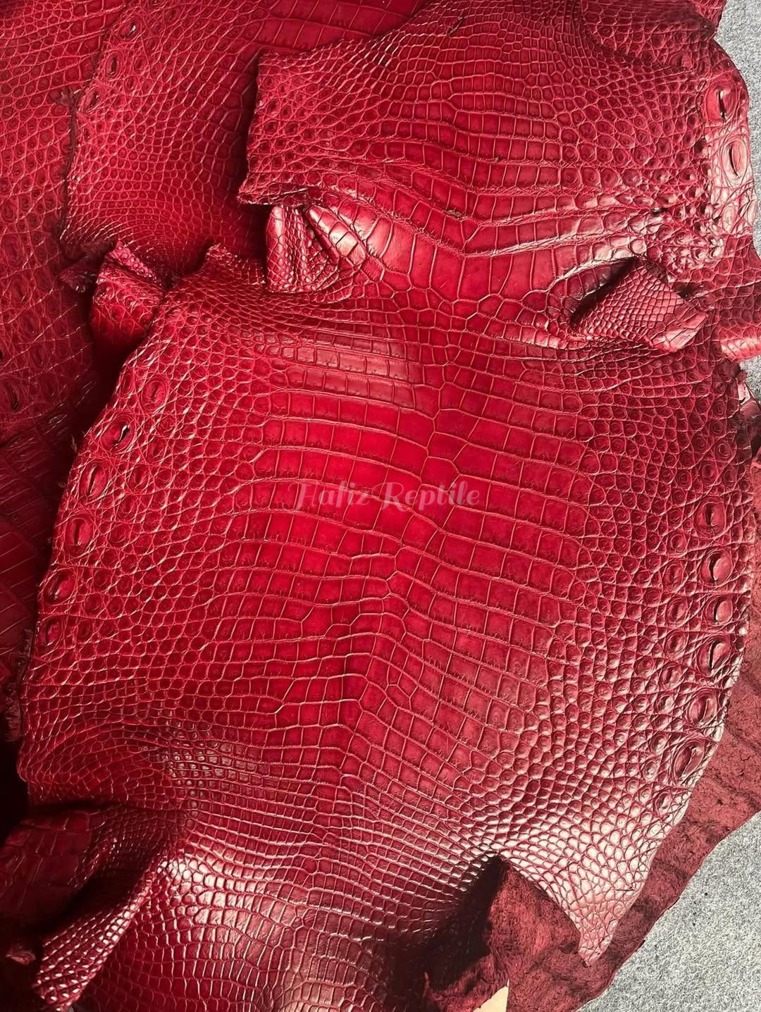 Full Alligator Leather Hide | Red Belly Skin | Whole Bleached Tanned ...