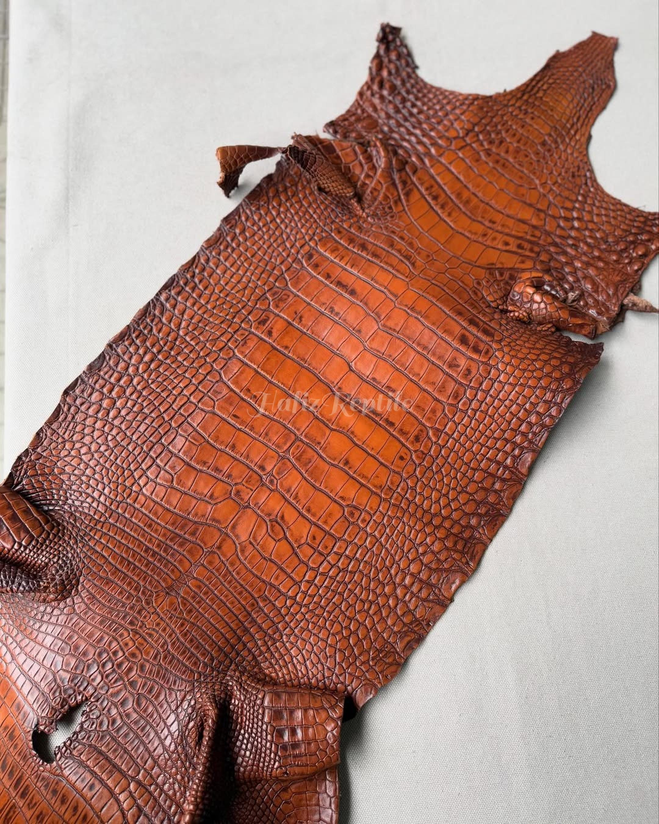 Full Alligator Leather Hide | Brown Belly Skin | Whole Unbleached ...