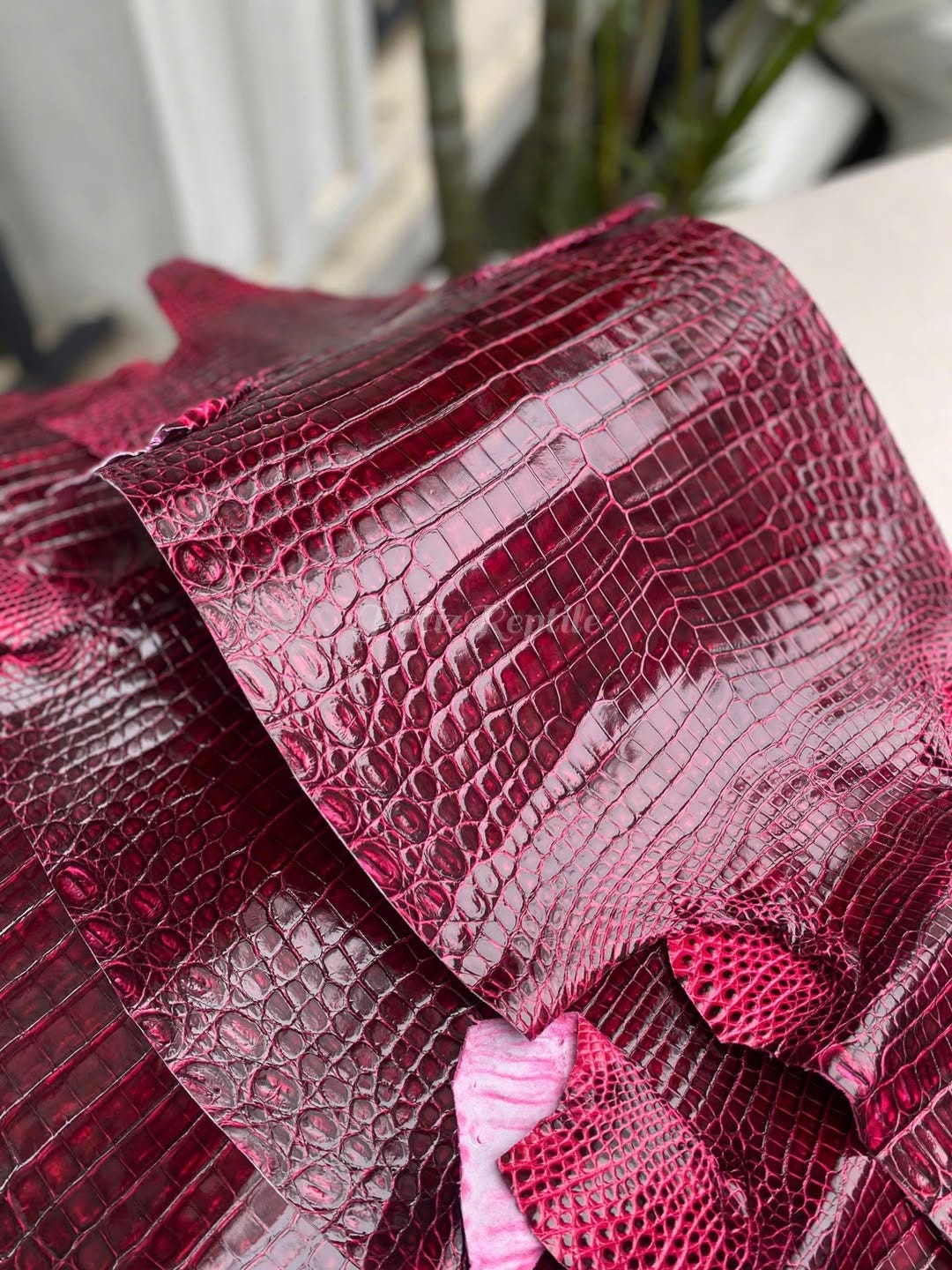 Full Alligator Leather Hide | Burgundy Red Belly Skin | Whole Bleached ...