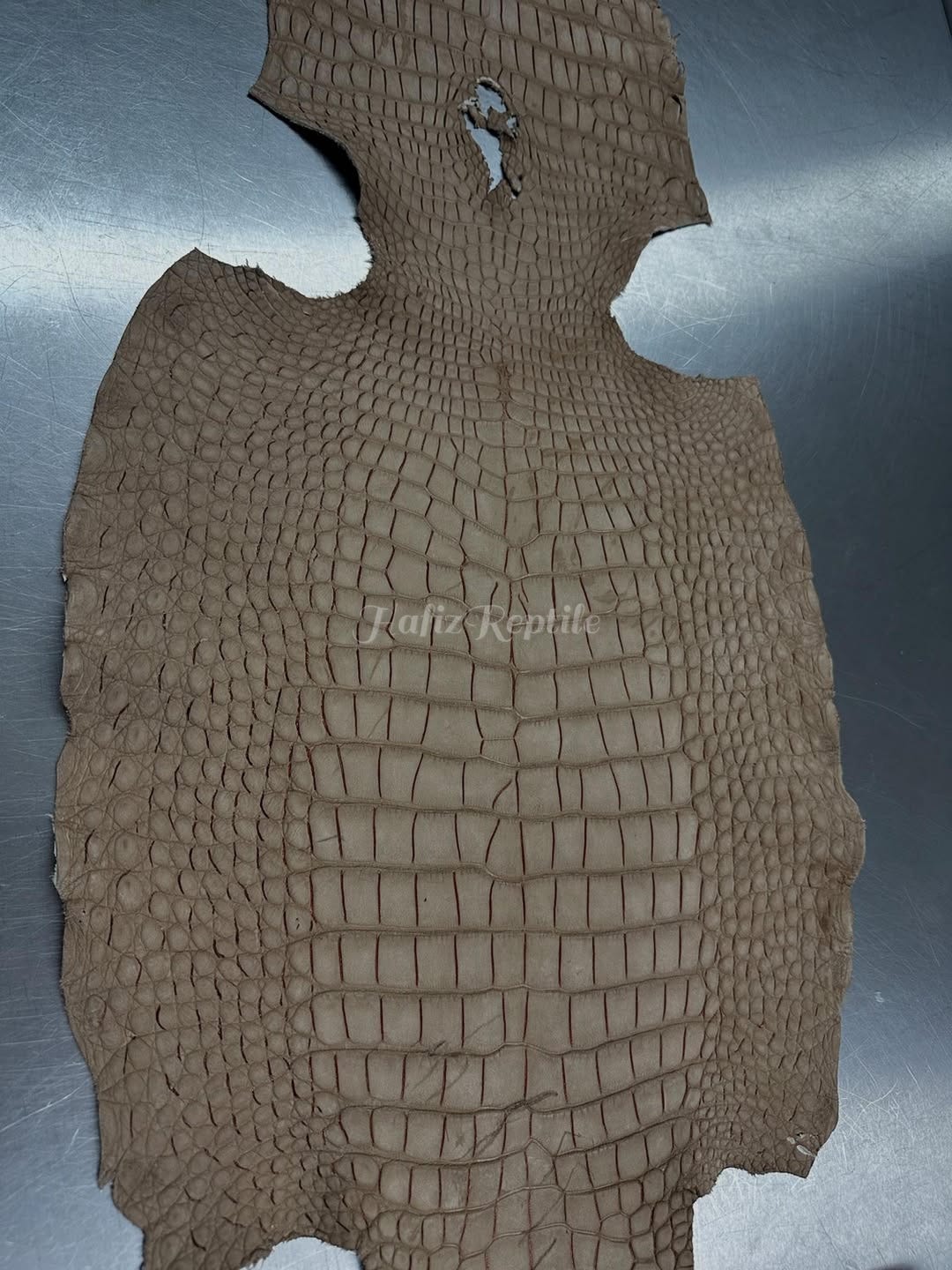 Full Alligator Leather Hide | Gray Belly Skin | Whole Bleached Tanned ...
