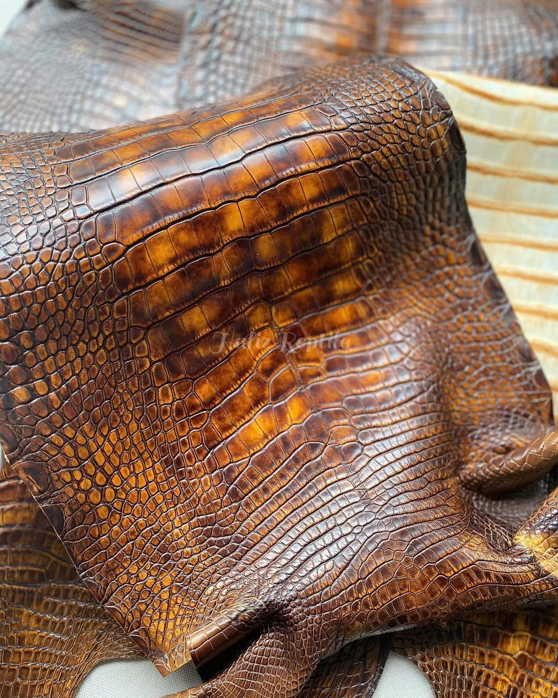 Full Alligator Leather Hide | Brown Belly Skin | Whole Unbleached ...