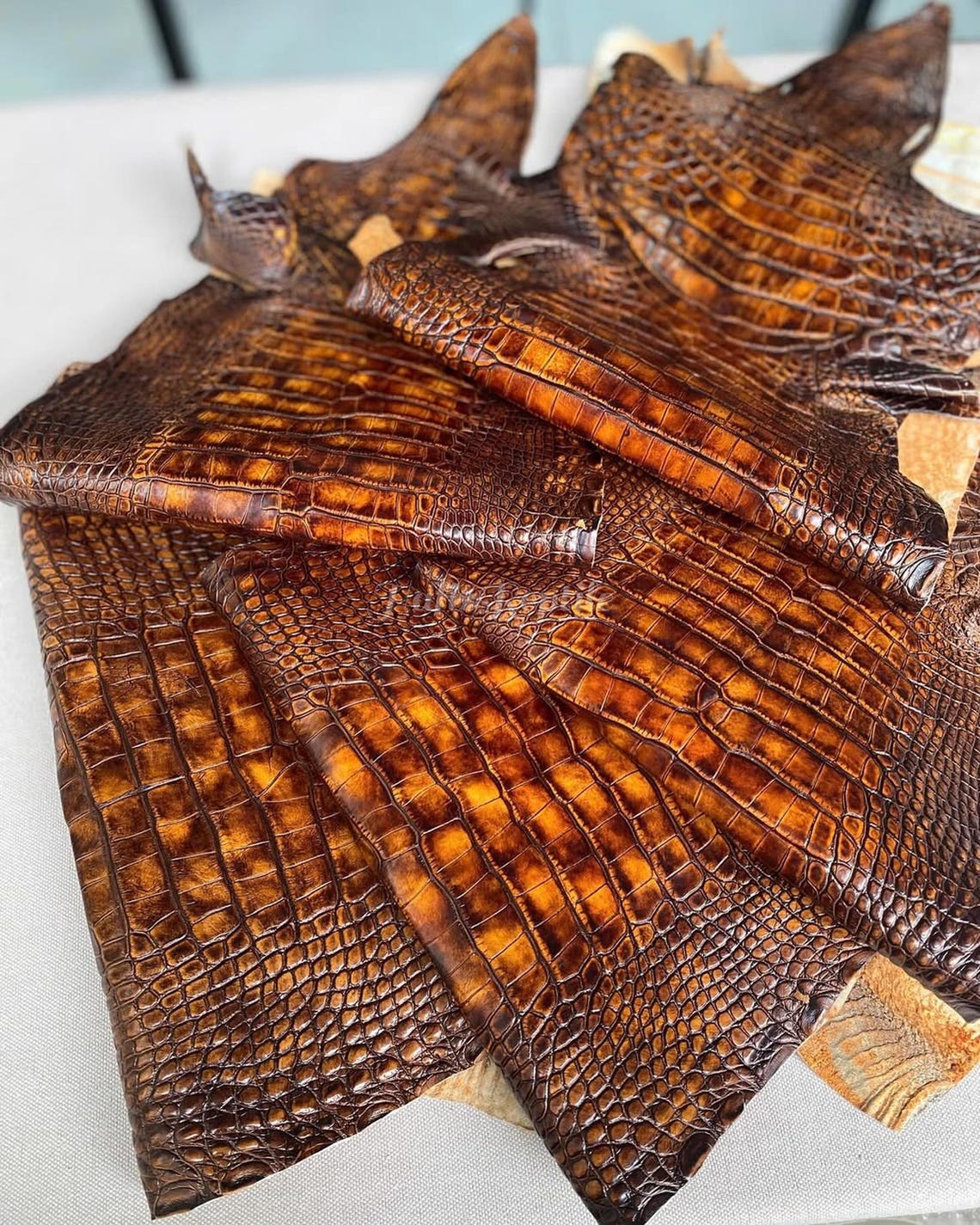 Full Alligator Leather Hide | Brown Belly Skin | Whole Unbleached ...