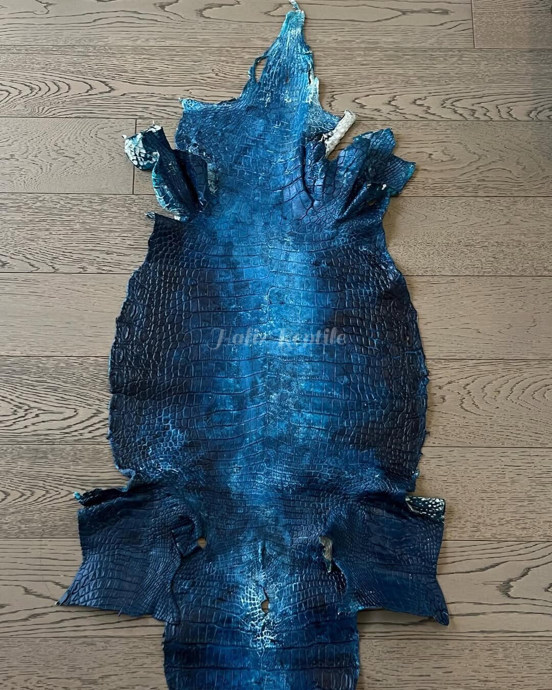Full Alligator Leather Hide | Petrol Blue Belly Skin | Whole Nubuck ...