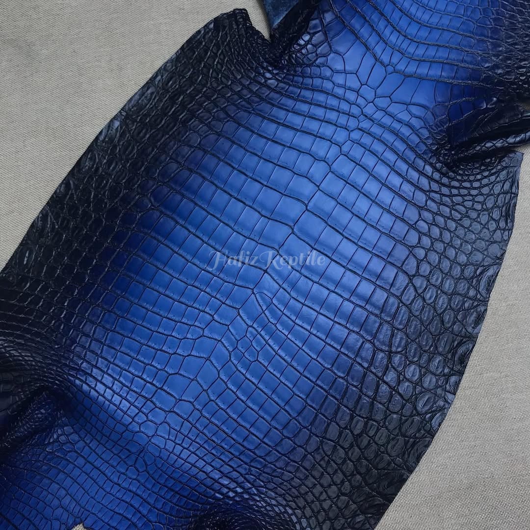 Full Alligator Leather Hide | Royal Blue Belly Skin | Whole Unbleached ...