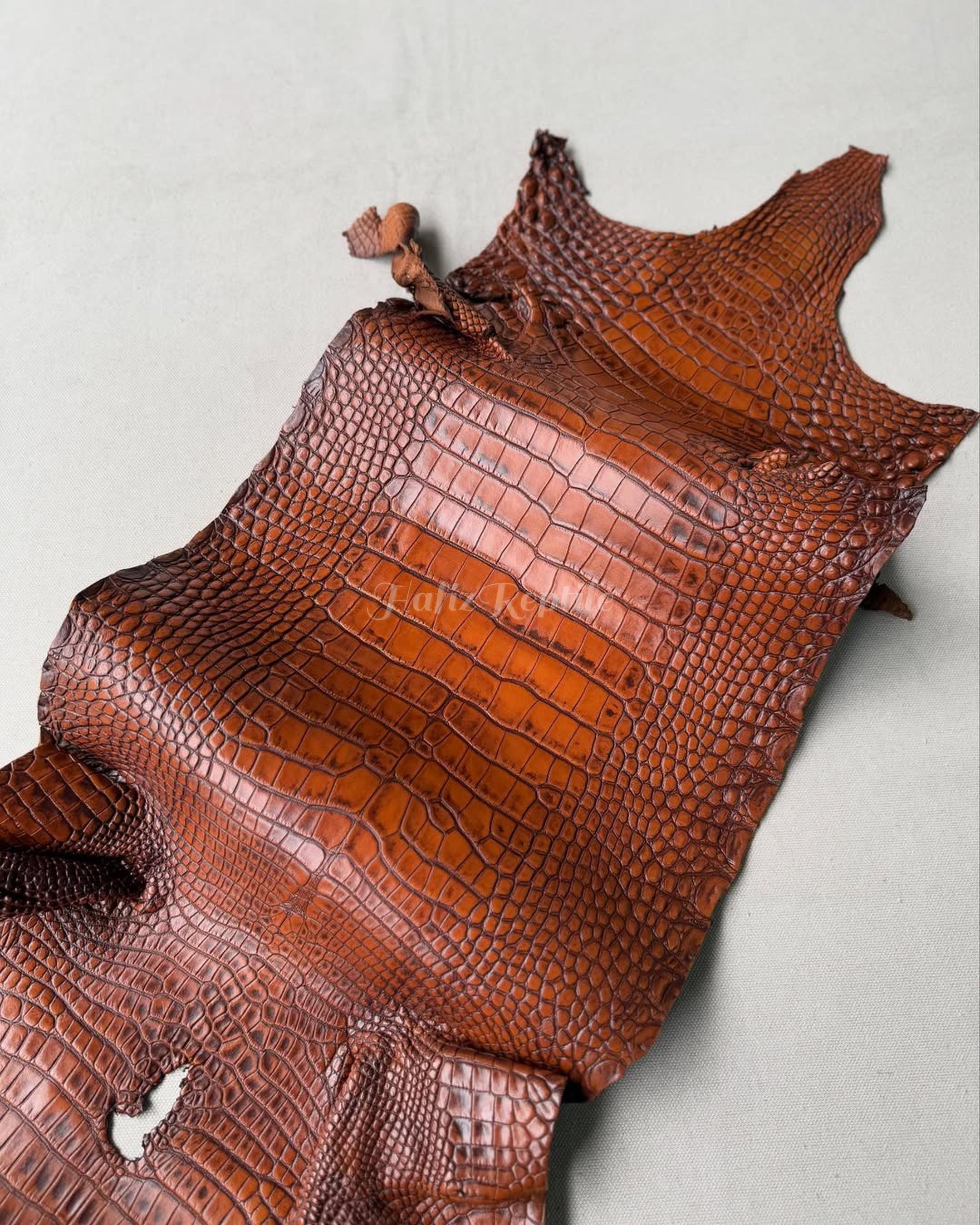 Full Alligator Leather Hide | Brown Belly Skin | Whole Unbleached ...
