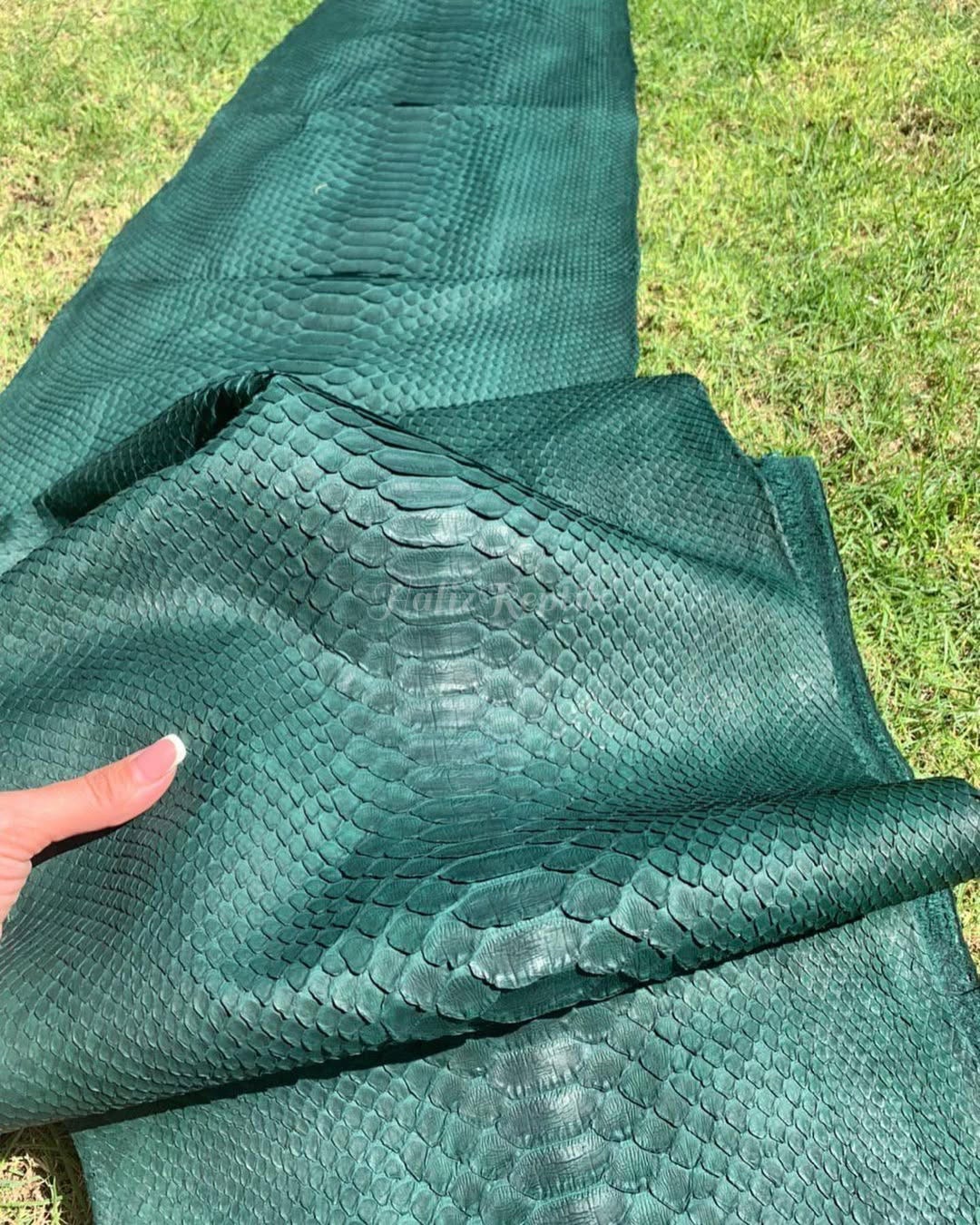 Genuine Python Leather Skin | Emerald Green Reticulated Belly Skin ...
