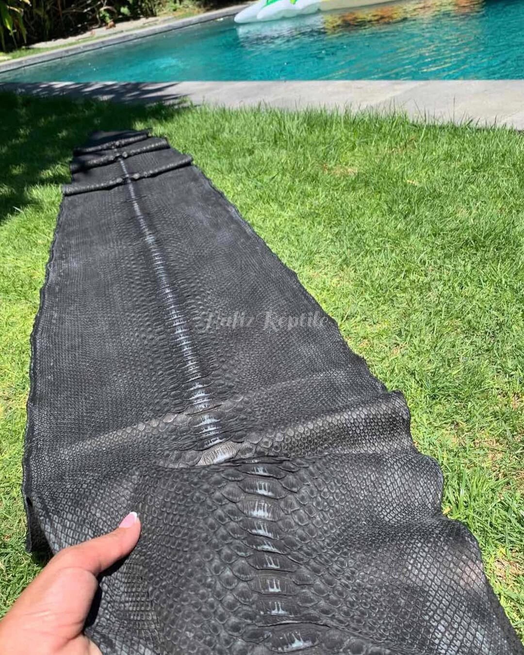 Genuine Python Leather Skin | Matte Black Reticulated Belly Skin ...