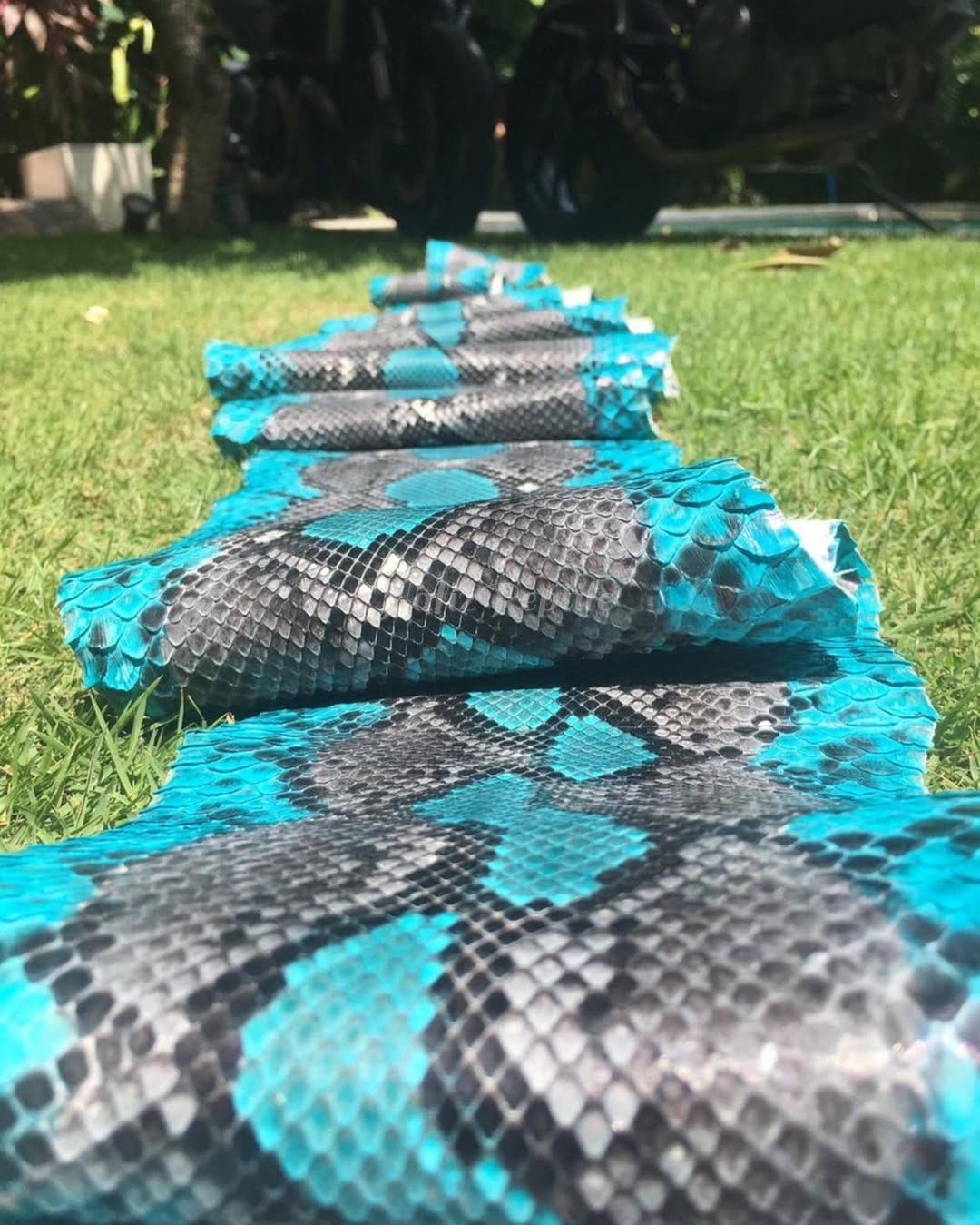 Genuine Python Leather Skin | Blue and Grey Reticulated Back Skin ...