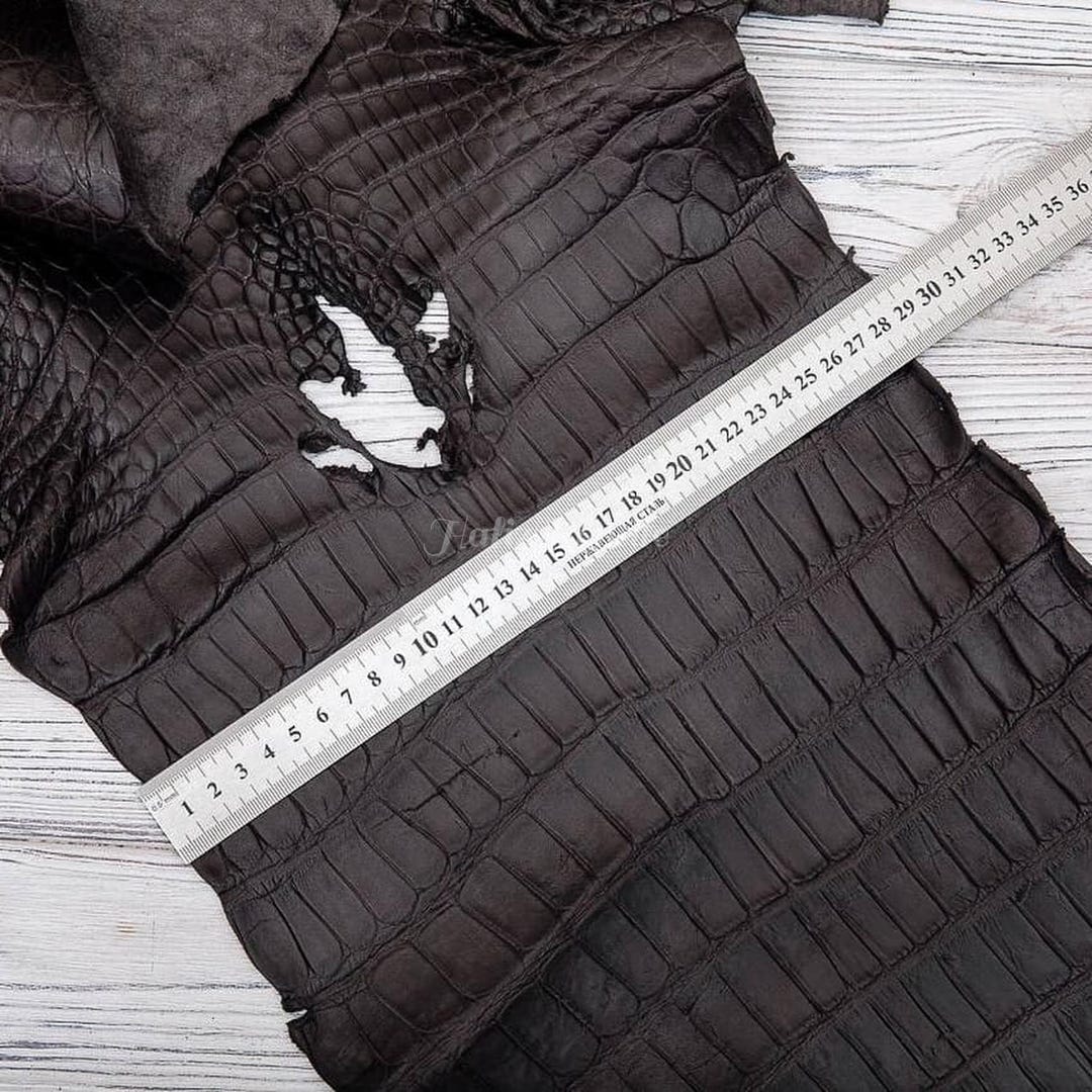 Full Alligator Leather Hide | Jet Black Belly Skin | Whole Unbleached ...