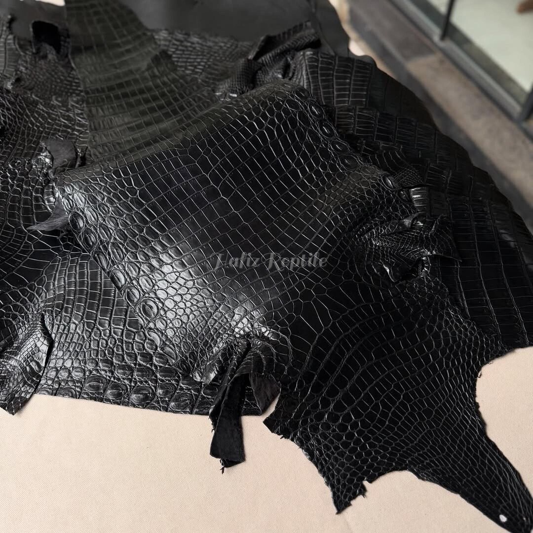 Full Alligator Leather Hide | Black Belly Skin | Whole Unbleached ...